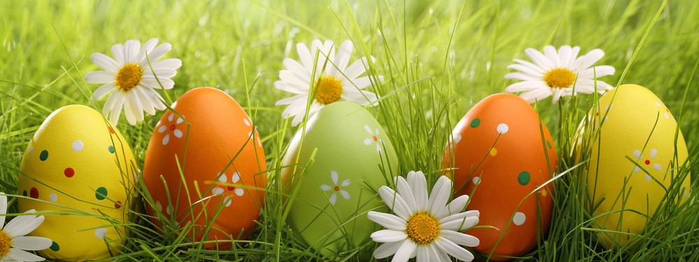 The Blagdon Farm Shop